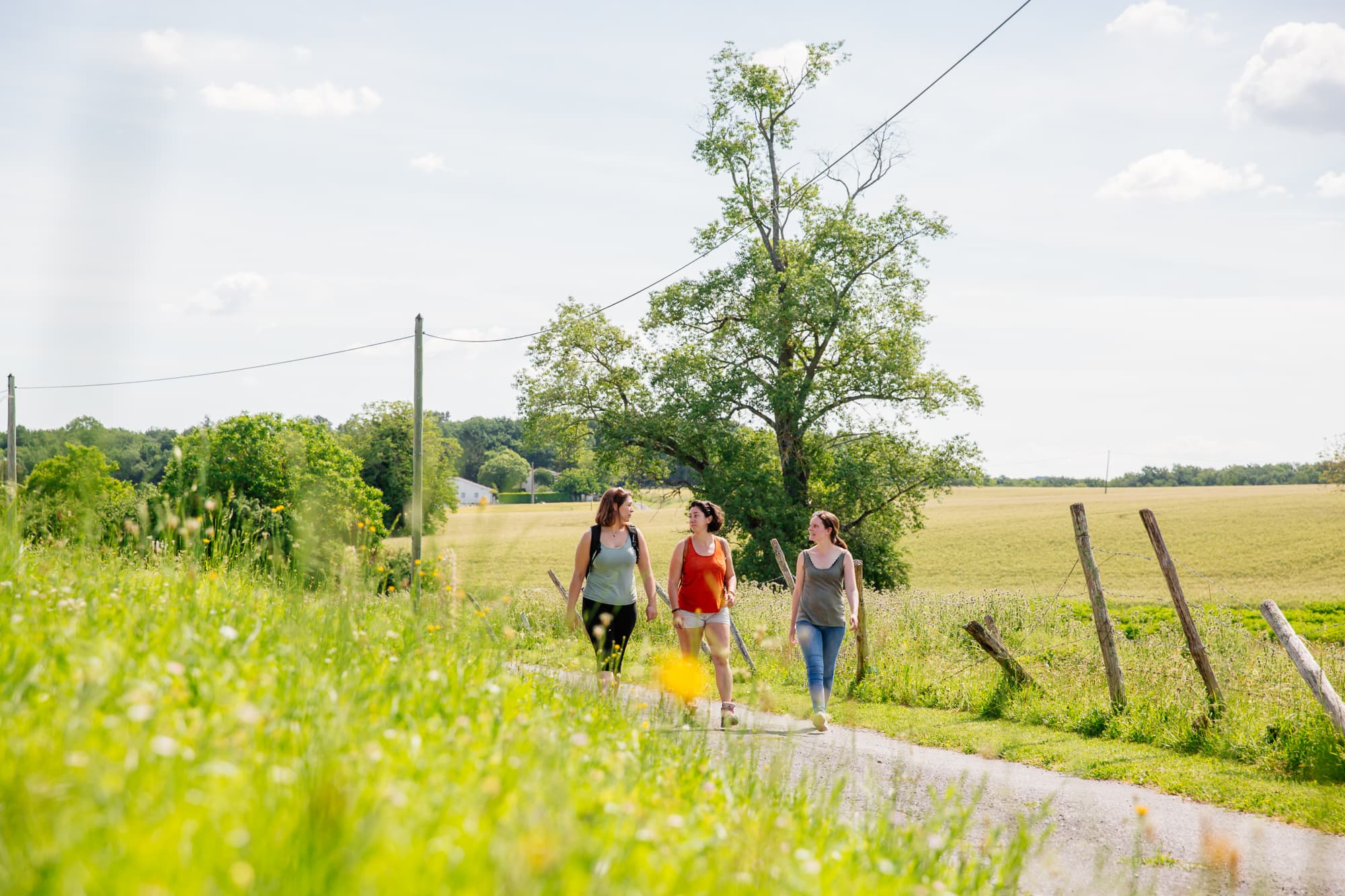 Les randonnées pédestres - Sud Charente Tourisme